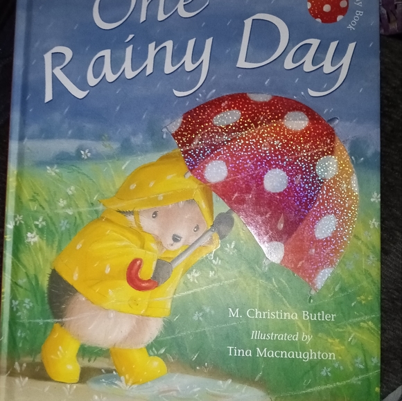 Children's Book | Accents | One Rainy Day Childrens Book | Poshmark